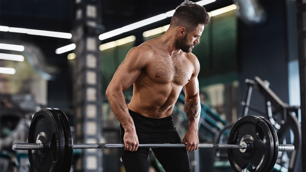 What Is L-Glutamine and When Should You Use It?