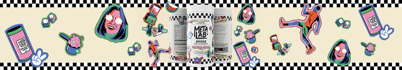 Metalab Bridge
